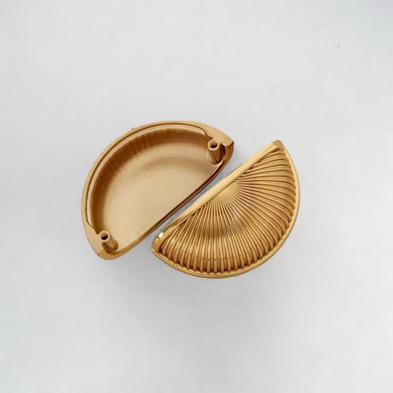 Coastal-Inspired Simple Shell Solid Brass Pulls
